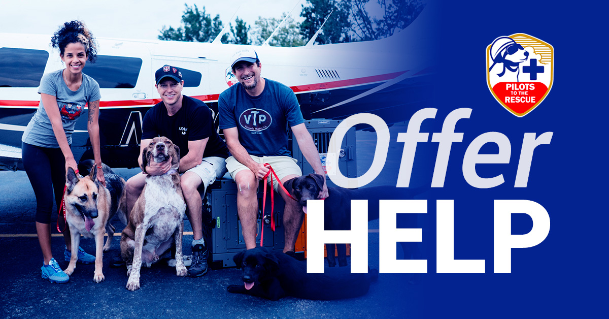 Home | Pilots To The Rescue