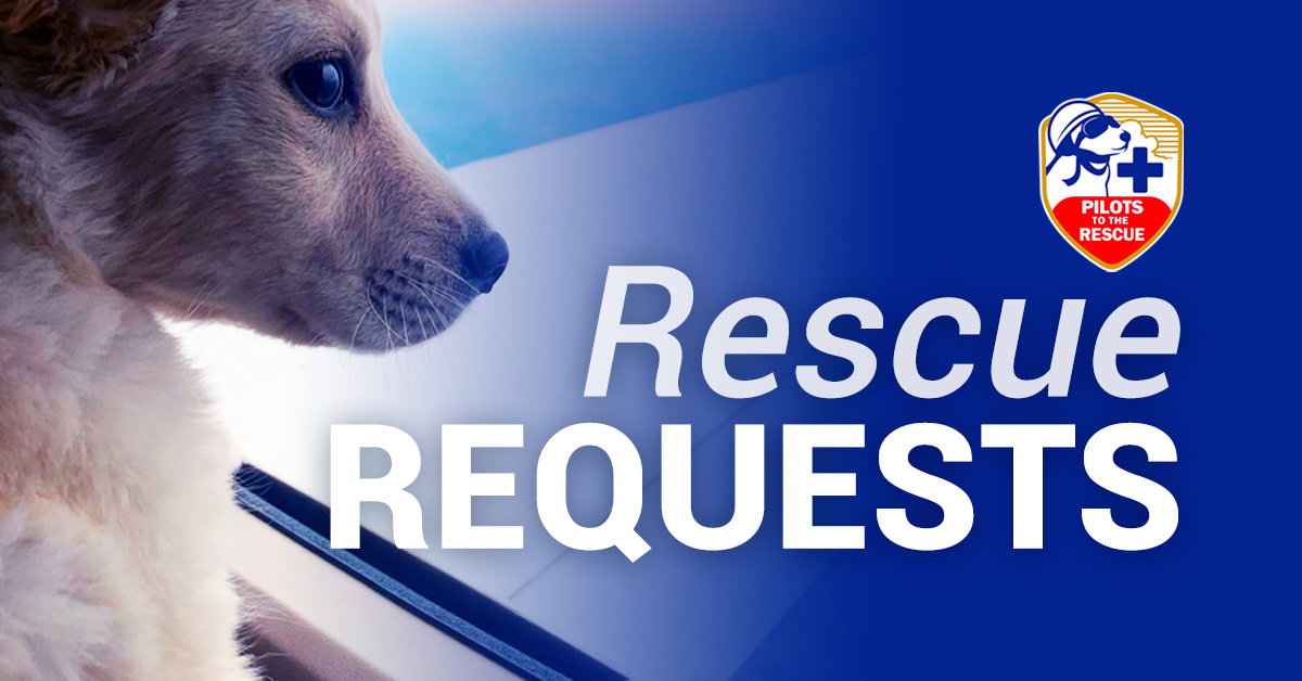 Requests & Offers | Pilots To The Rescue