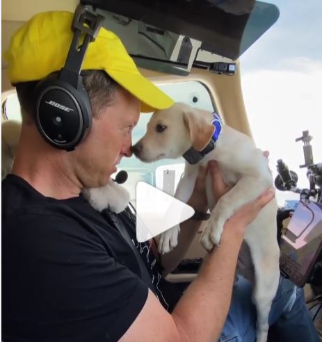Animal Rescue Organization - Pilots to the Rescue